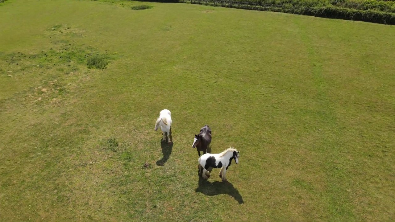 Bridge Farm - YouTube