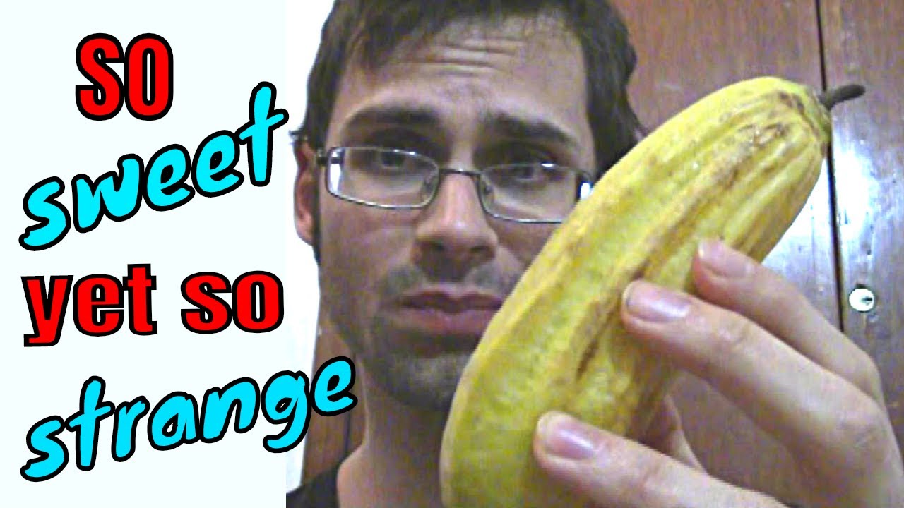 Guajilote Review (Parmentiera edulis)- Weird Fruit Explorer Ep. 297 ...