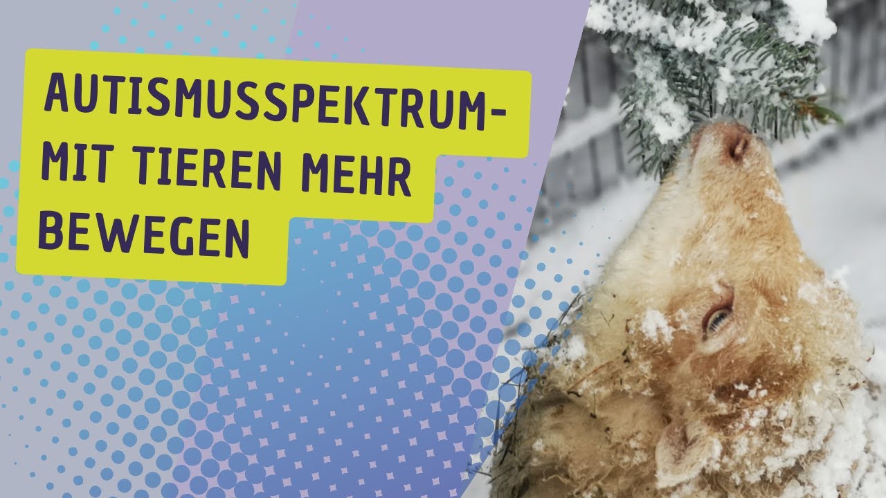 Tiergestützte Förderung bei Autismus - YouTube