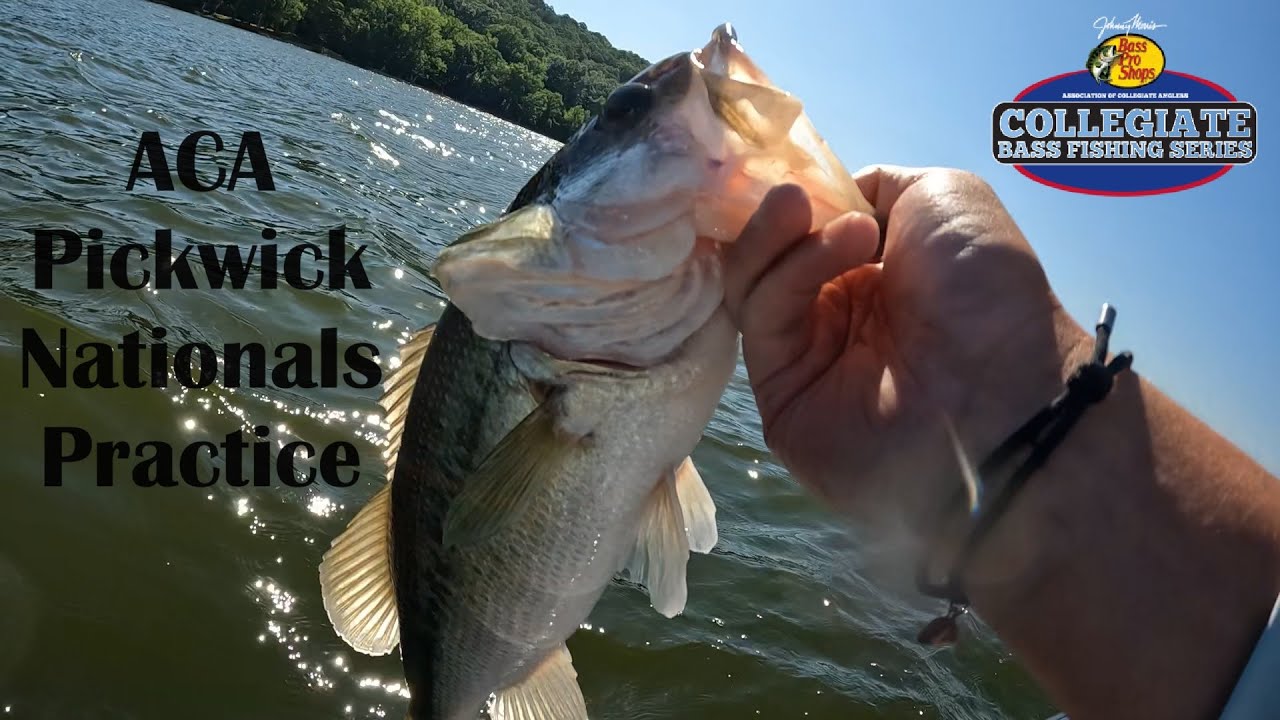 Can We Find Fish On the Ledges? (ACA Nationals Practice) - YouTube