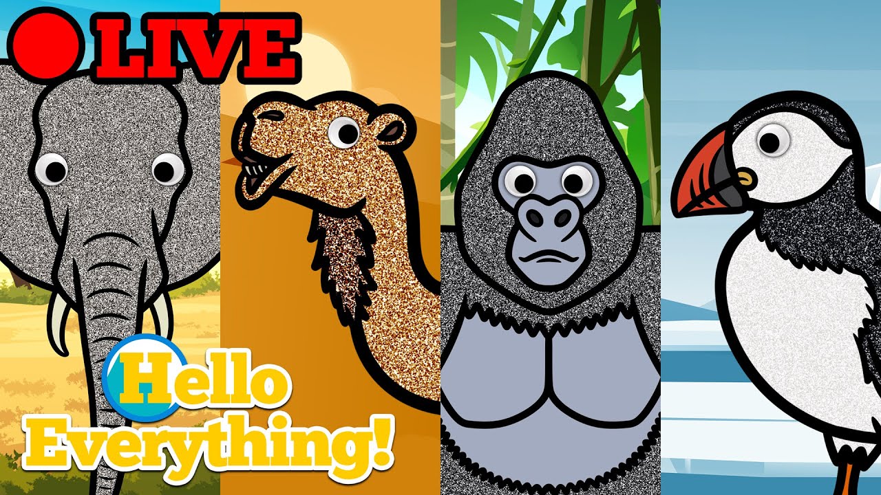 🔴 Hello Everything! 👀 Live Stream | Finger Family Nursery Rhymes ...