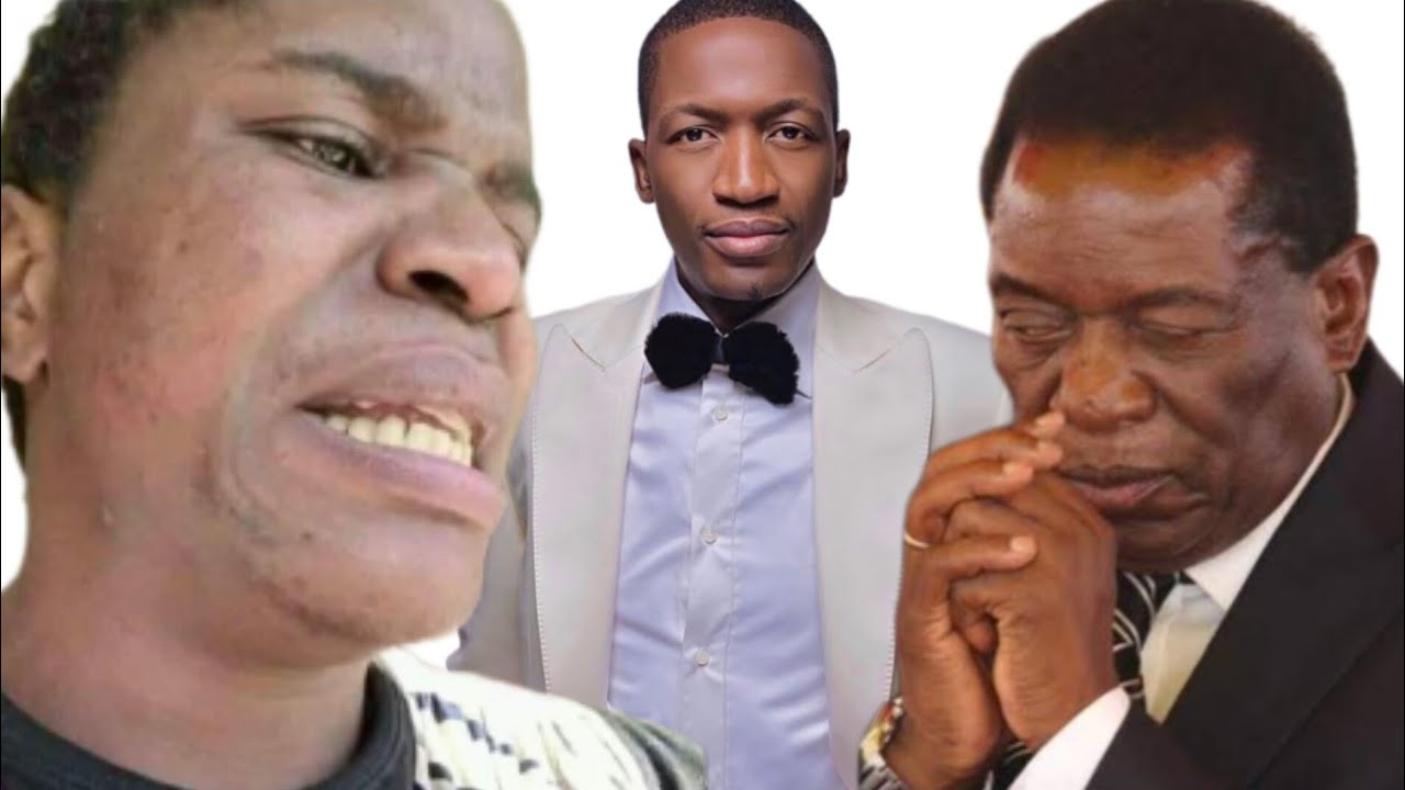 Queen tatelicious Diss Uebert angel, Ed mnangagwa and Zanu fp achiti it ...