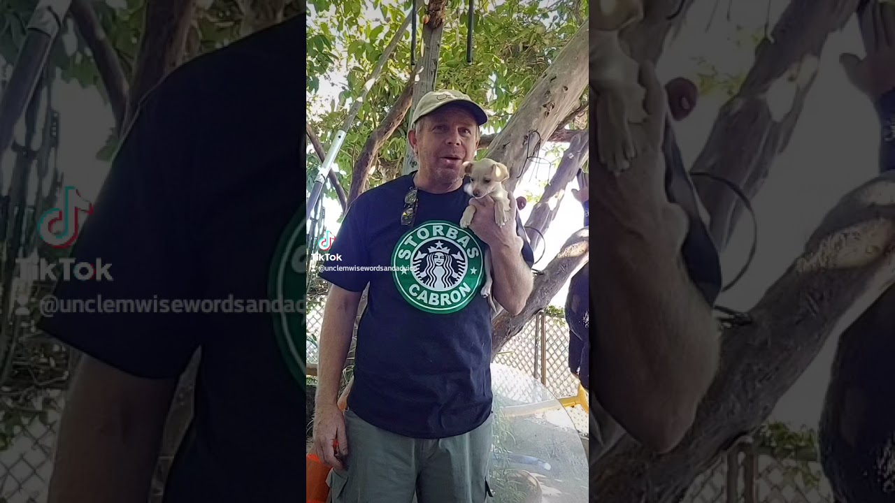 Chiquitita I love you and don't forget "El Storbas Cabron" - YouTube