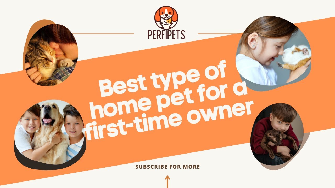 Best type of home pet for a first-time owner - YouTube