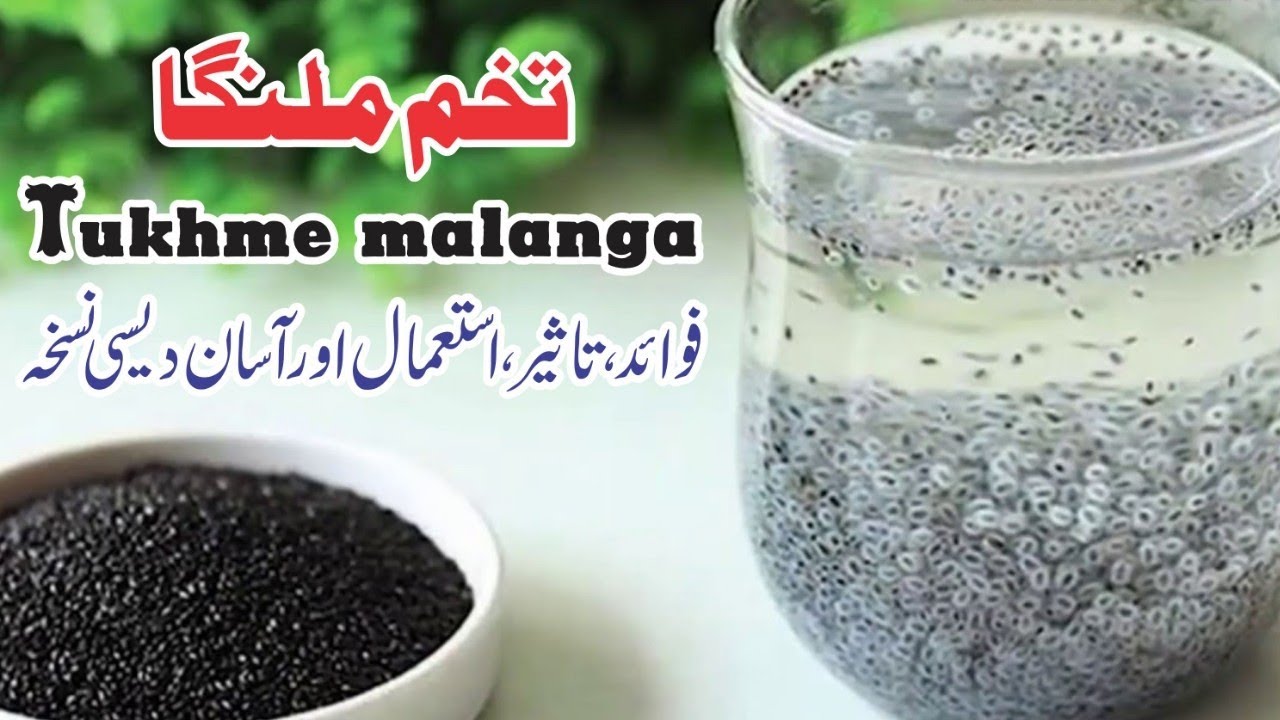 Benefits of chia seeds || benefits of tukham balangu || tukh malanga ke ...