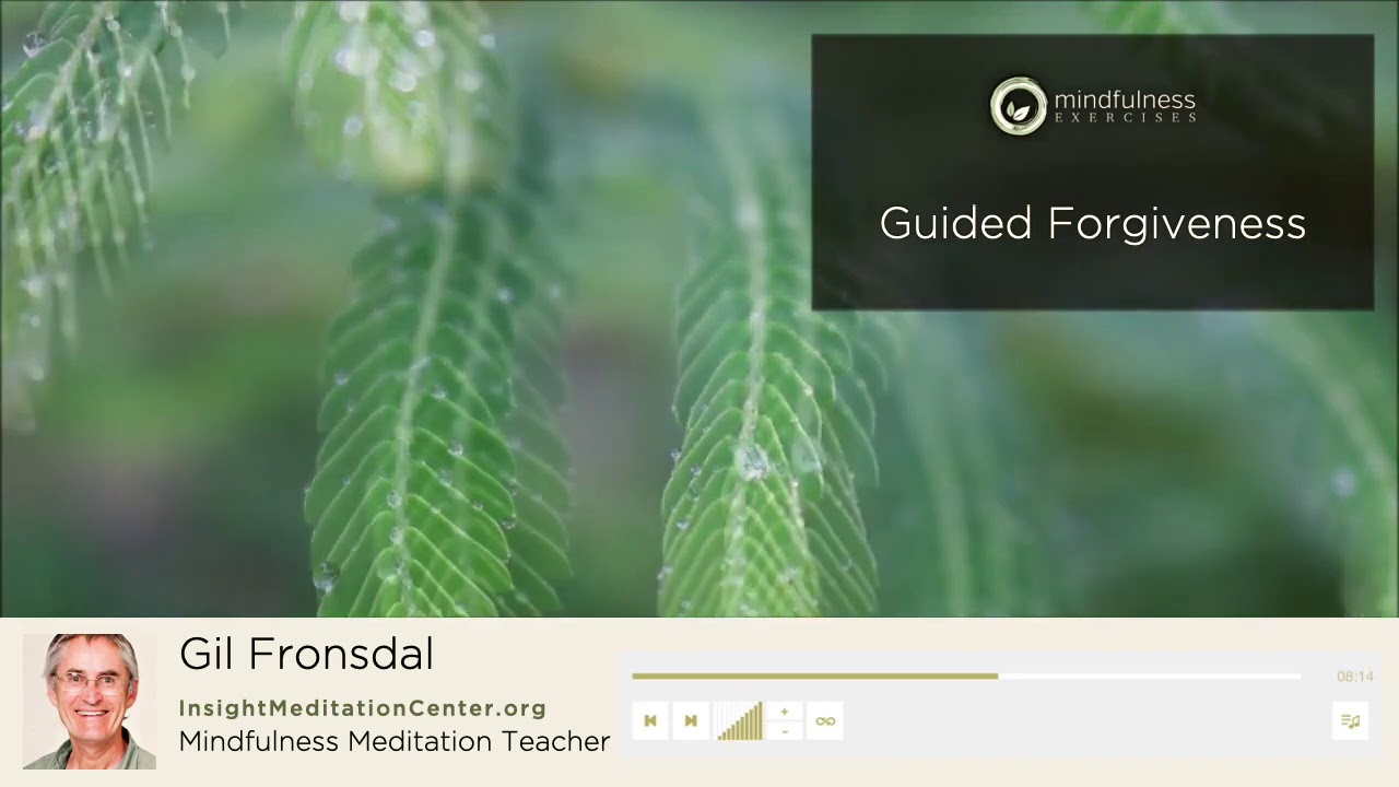 Guided Forgiveness - A Guided Meditation by Gil Fronsdal - YouTube