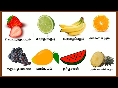 Learn all fruits name in tamil | fruits name in Tamil for kids | name ...