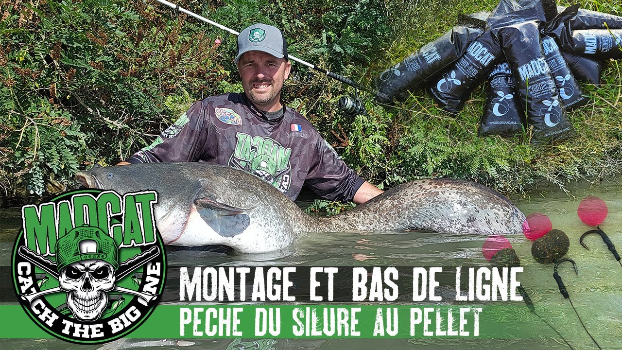 Montage et bas de ligne pour la pêche du silure au pellet avec les sacs ...