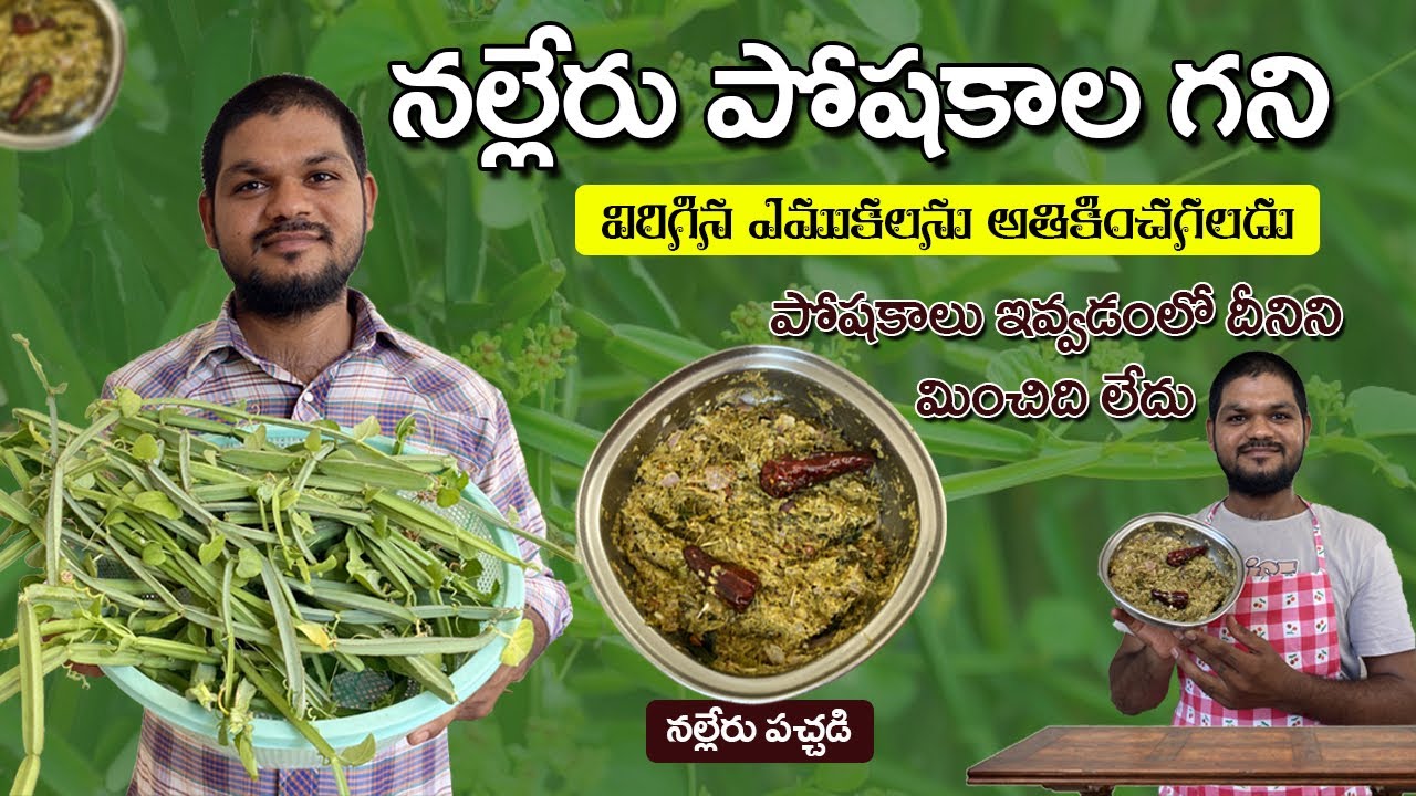 Nalleru Plant | Nalleru ఈ పచ్చడి చేసుకొని తింటే నడవలేని వాళ్లు కూడా పరు ...