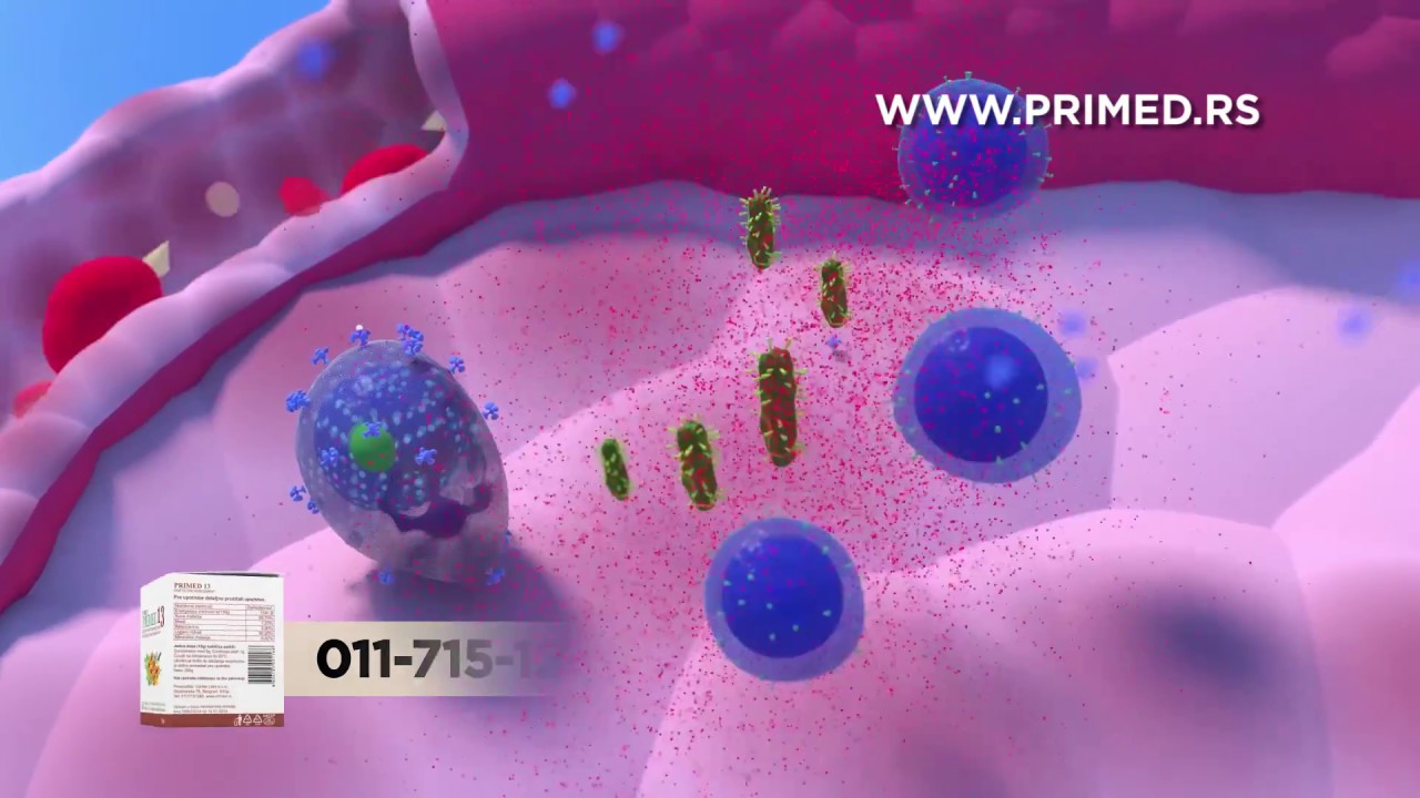 Primed 13 Forte - Efikasna formula za jačanje imuniteta - YouTube