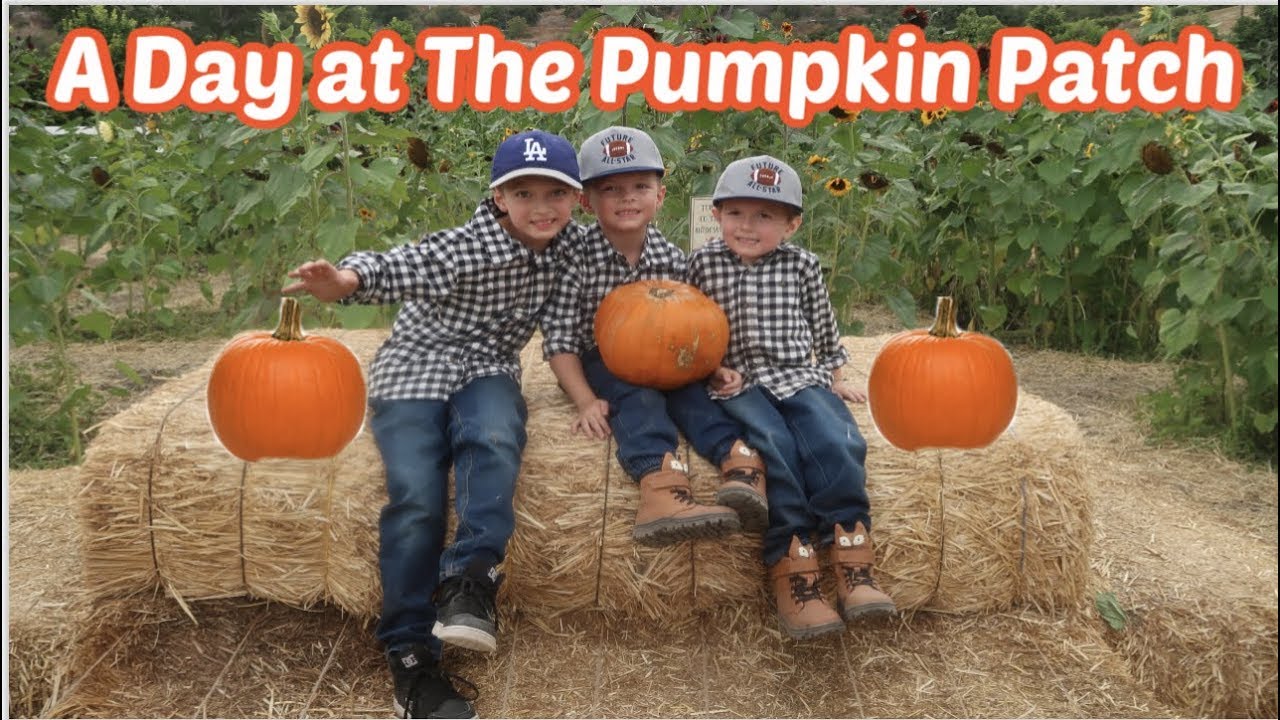 A Day At The Pumpkin Patch | Cozy Fall Days At Home 2019 - YouTube
