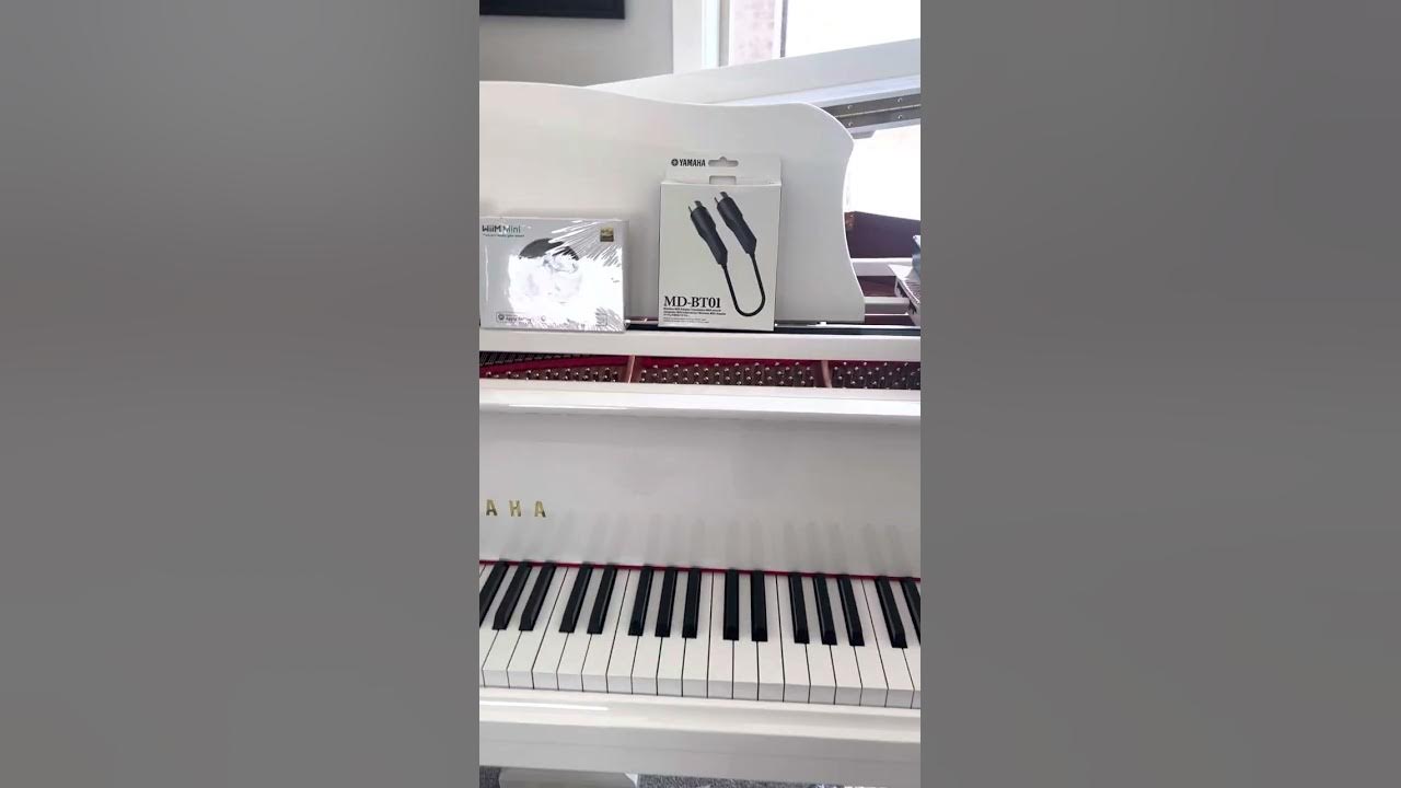 Vid 1/10 BEST way to set up *Yamaha Disklavier Enspire* APRIL 2023 (USE POWER STRIP not AC CORD ...
