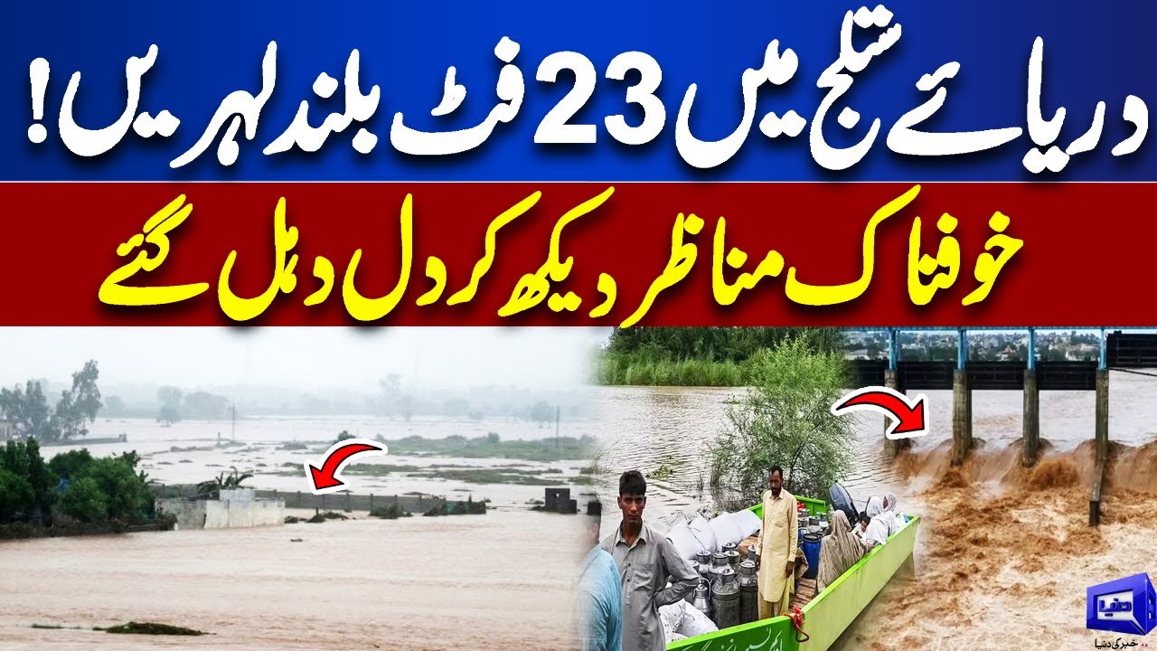 High Alert | Flood Alert Issued Amid High Flow in Satluj River | High ...