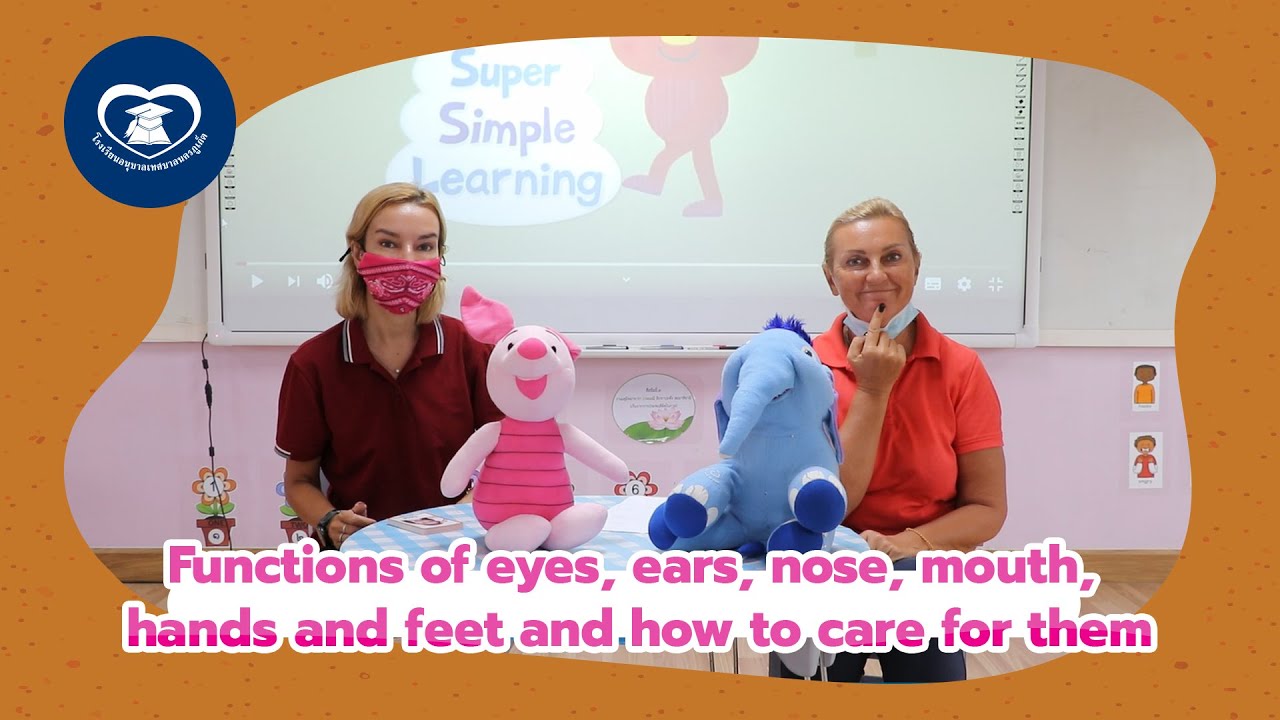 Functions of eyes, ears, nose, mouth, hands and feet and how to care ...