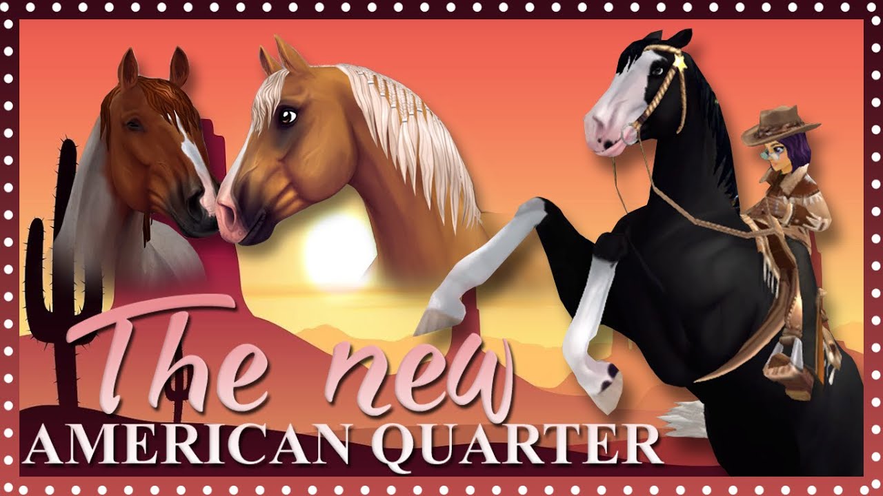 Buying the NEW American Quarter Horse | BEFORE VS. AFTER AQH | Star ...