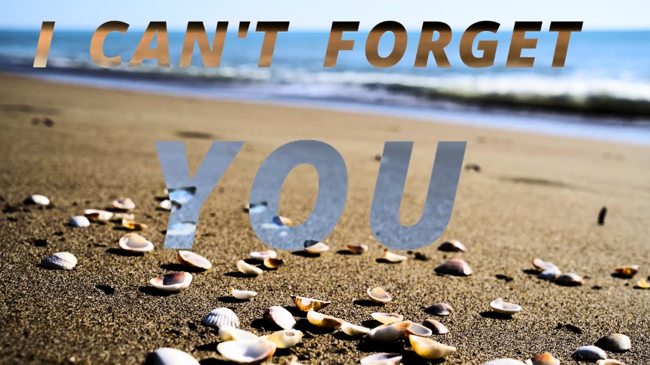 ️‍🩹I Can't Forget You ️‍🩹 - Oficial Video (Lyrics) #tropicalhouse # ...