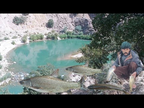 Fishing in the heart of nature: delicious baits and memorable moments ...