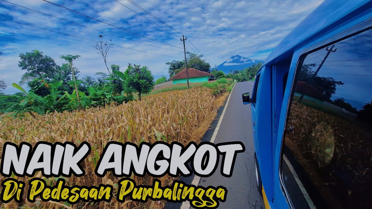 NAIK ANGKOT DI PEDESAAN KABUPATEN PURBALINGGA JAWA TENGAH DENGAN VIEW ...