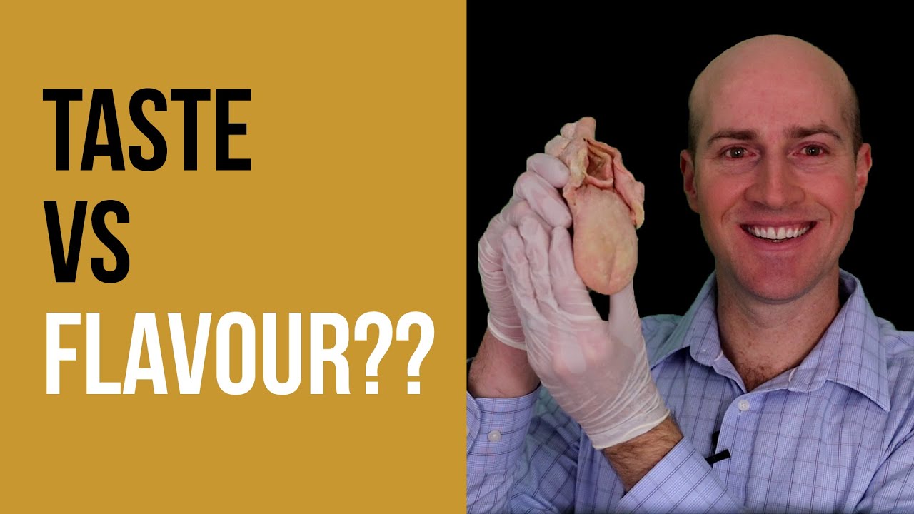 Taste Vs Flavour Your Taste Buds Don t Do What You Think YouTube taste-vs-flavour-your-taste-buds-don-t-do-what-you-think-youtube