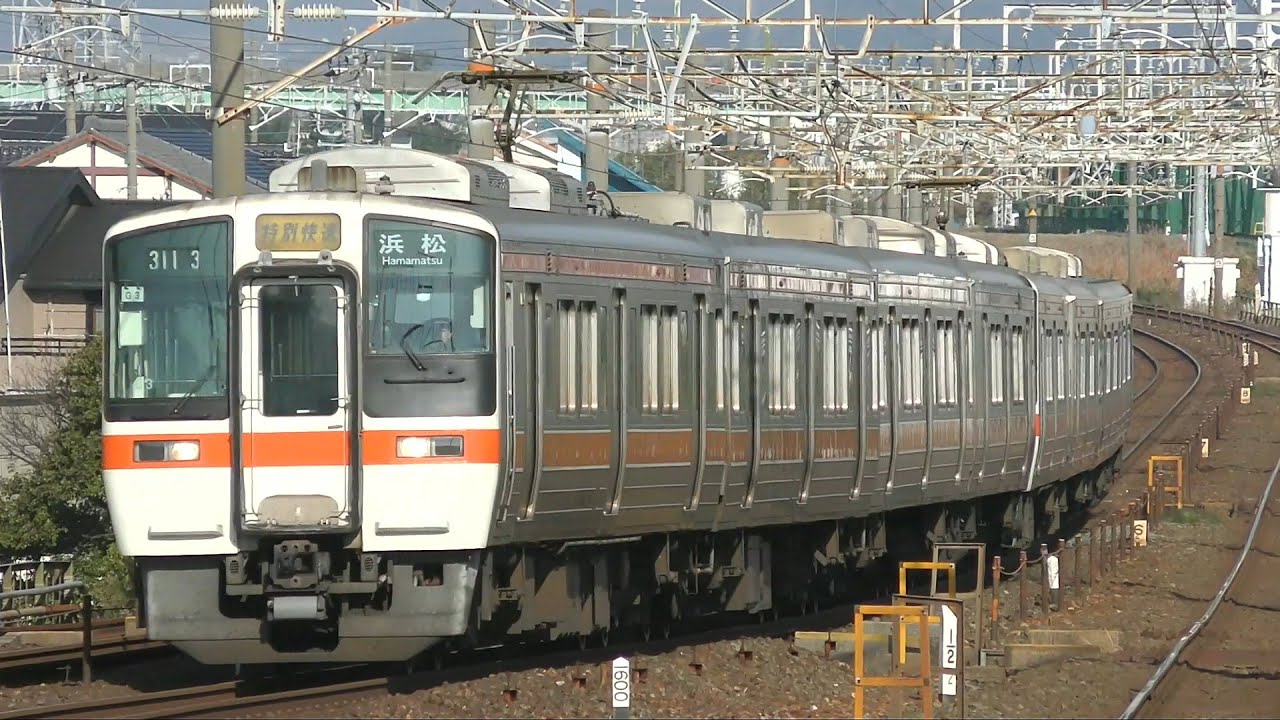 JR東海311系 2016年撮影の8両編成列車 - YouTube