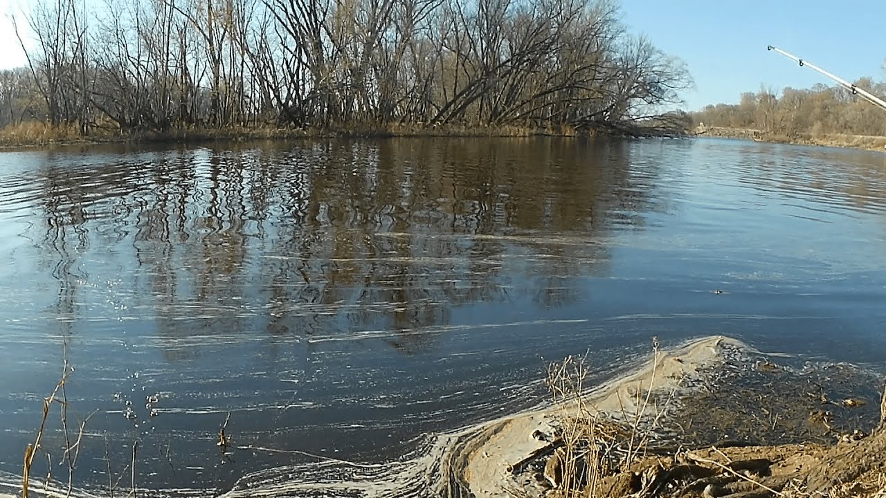 Chillin and Catching Trash Fish! - YouTube
