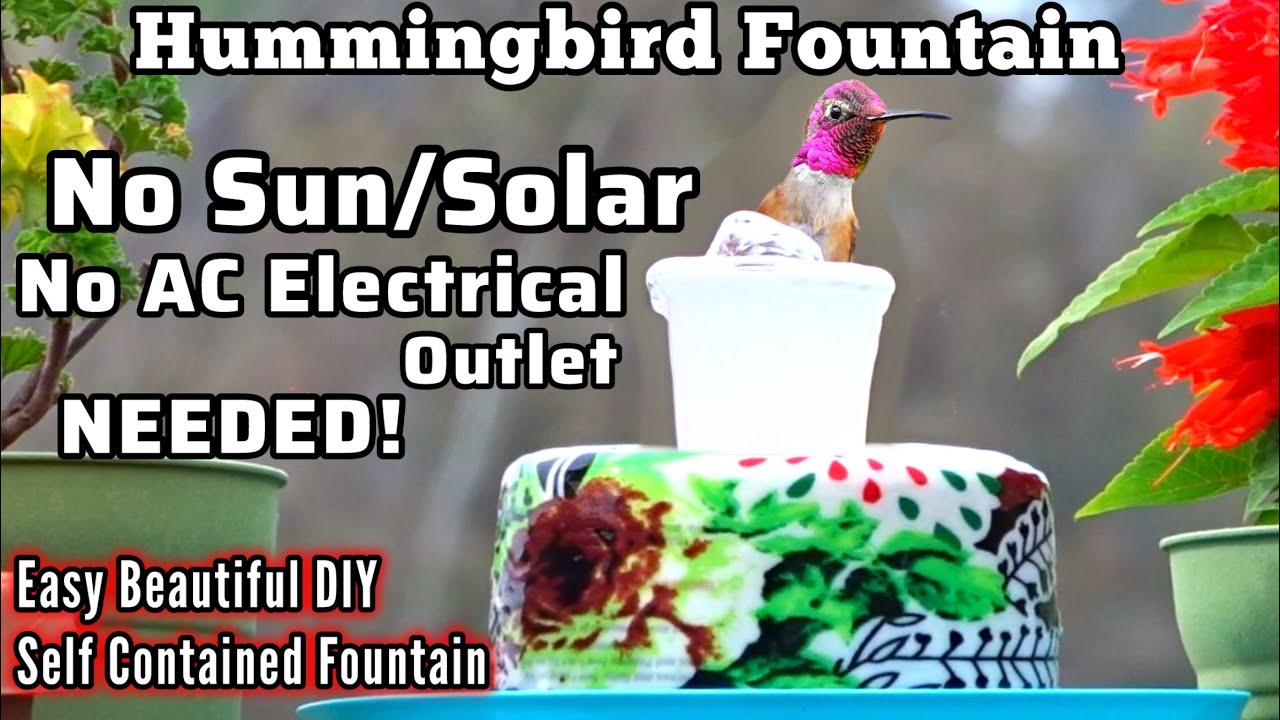 How To Make Hummingbird ENDLESS Water Fountain NO Solar, Sun or AC ...
