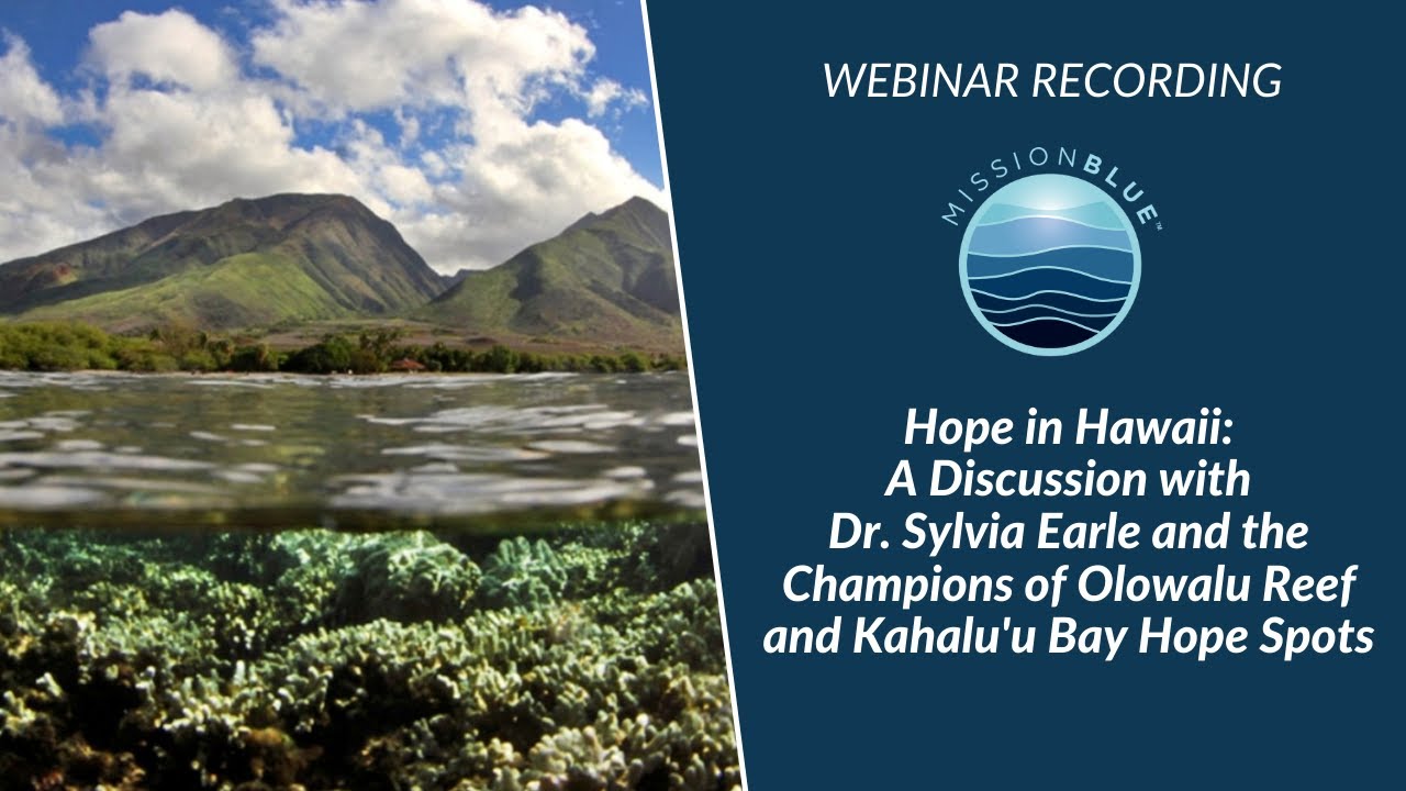 Hope in Hawaii Webinar Recording - YouTube