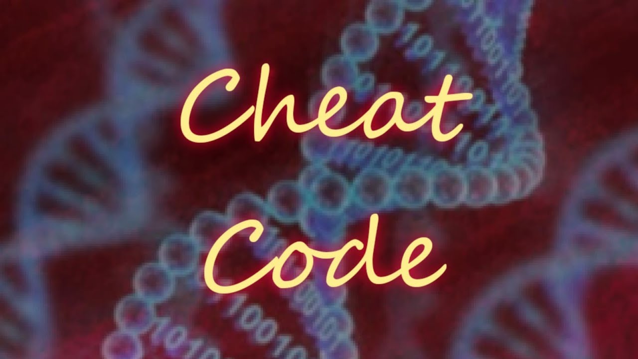 THE CHEAT CODE - YouTube