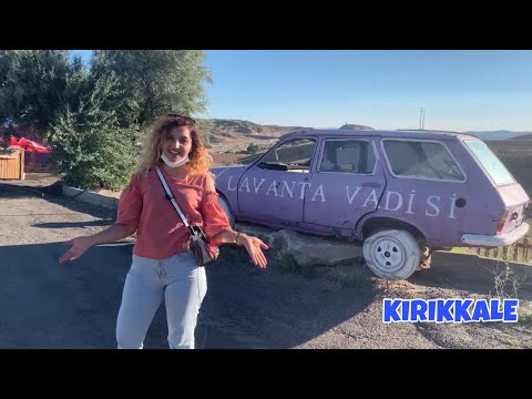 (Kırıkkale) Balışeyh Lavanta Vadisi: Mor Rüyalar ve Doğanın Sakin Sesi! 🌿