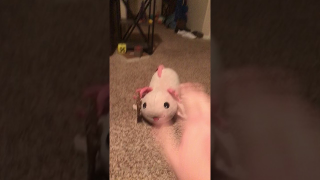 Among us 4% Axolotl are Imposter! - YouTube