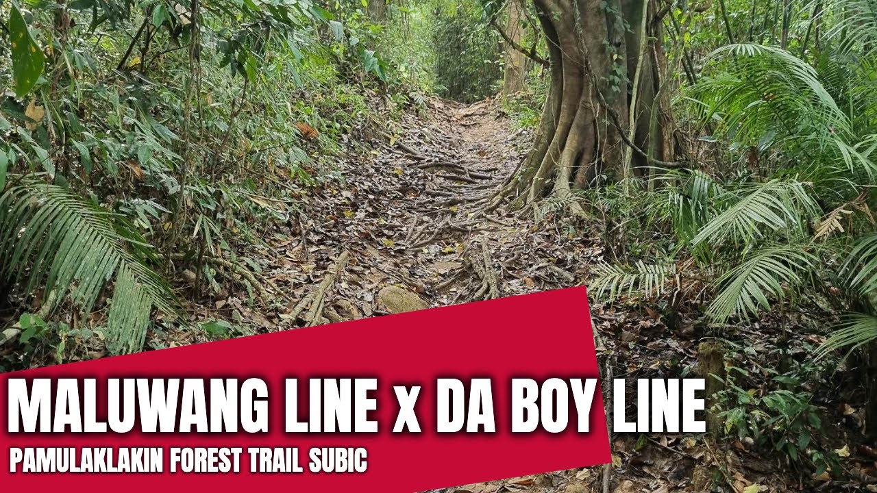 Maluwang Line x Da Boy Line | Pamulaklakin Forest Trail Subic - YouTube