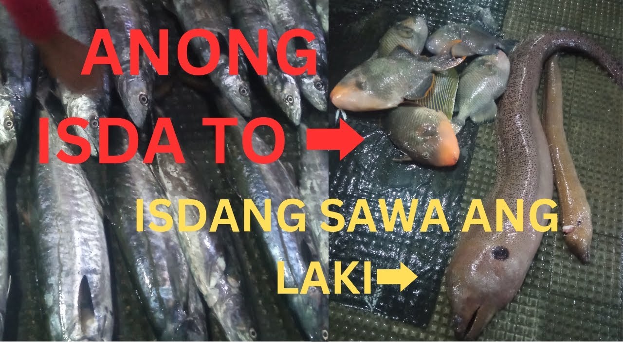 IBAT IBANG KLASE NG ISDA DUMATING | 3K DAMI KO NAPAMILI ...
