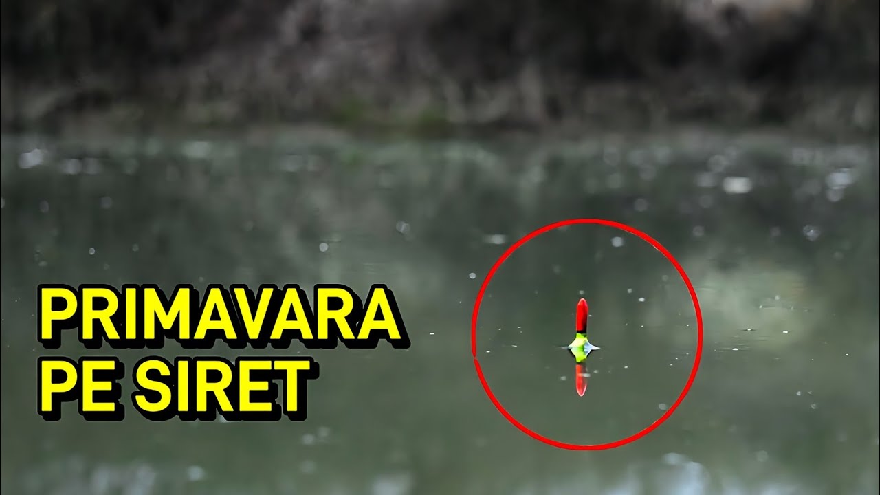 AM CAUTAT CLEANUL SI SCOBARUL PRIMAVARA PE RAUL SIRET - YouTube