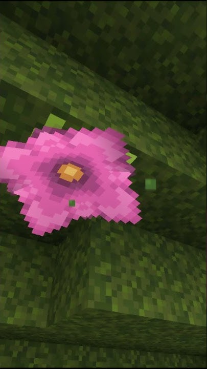 Nova flor de Esporos Minecraft - YouTube