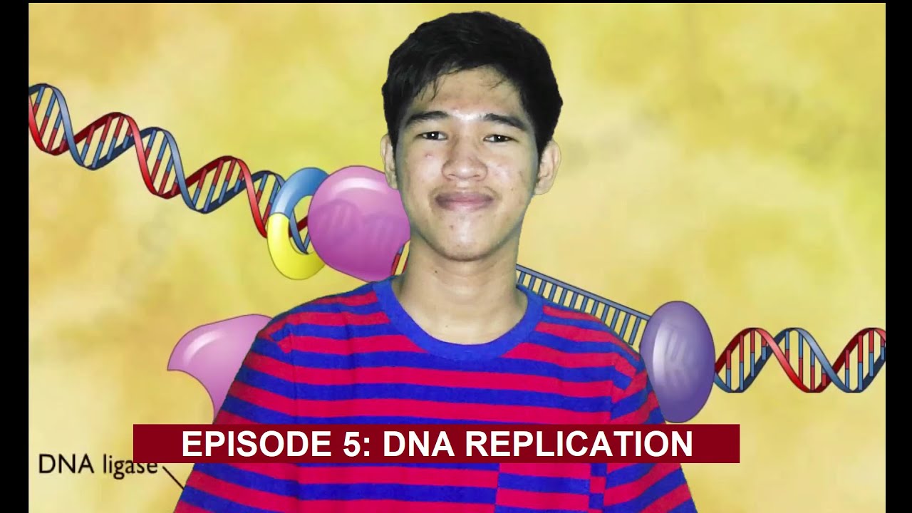 Episode 5: DNA Replication - YouTube