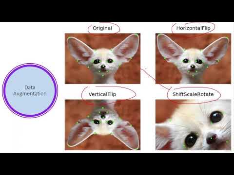 13 Perform Data Augmentation using Albumentations with different ...