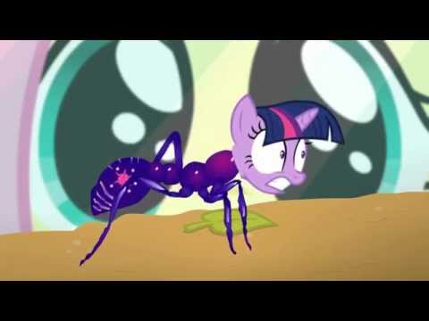 Twilight Is Now An Ant - YouTube