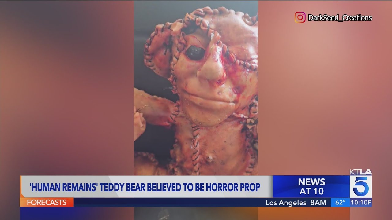 'Human remains' teddy bear believed to be horror prop - YouTube