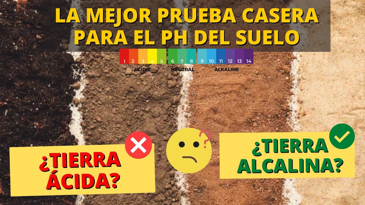 EL MEJOR Y MÁS FÁCIL TEST CASERO PARA MEDIR EL PH DEL SUELO | Corregir ...