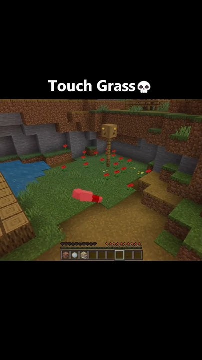 Touch Grass = 💀 In Minecraft Command - YouTube