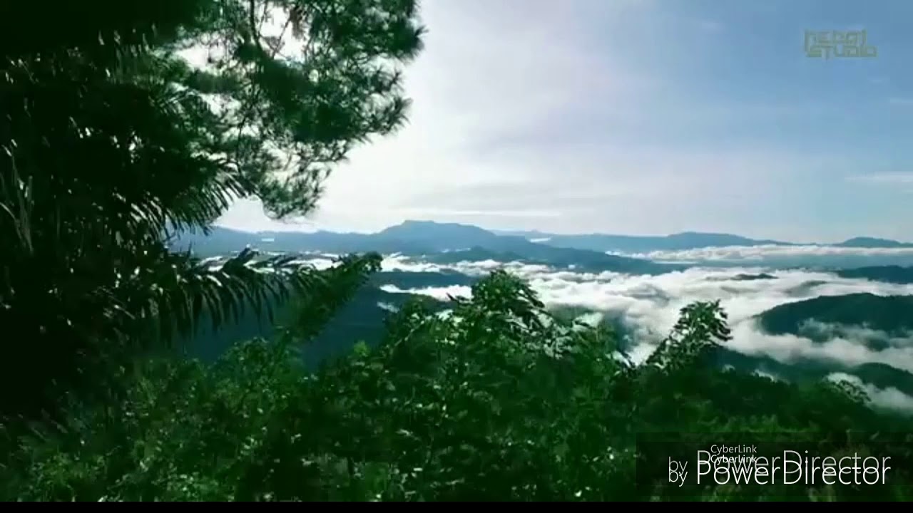 HUTAN RIMBA GORONTALO-Sulawesi Rainforest Wildlife - YouTube