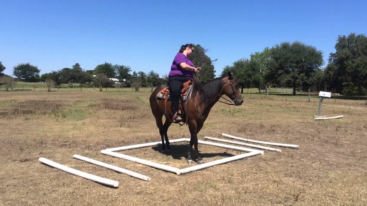 Trail Obstacle #3 - YouTube