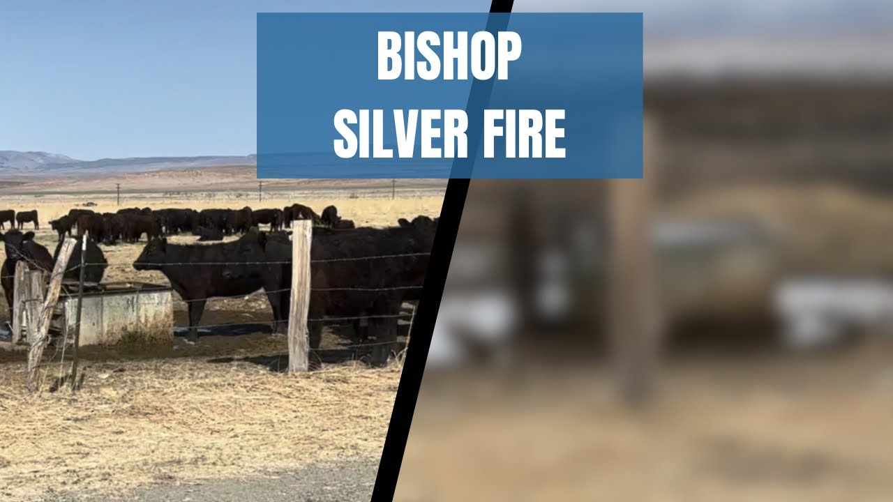 Bishop Silver Fire - YouTube