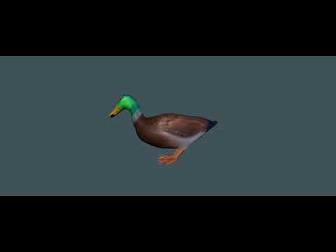 duck2 3d model - YouTube