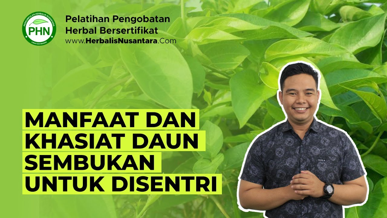 Manfaat dan Khasiat Daun Sembukan Untuk Disentri , Maag , Rematik dan ...