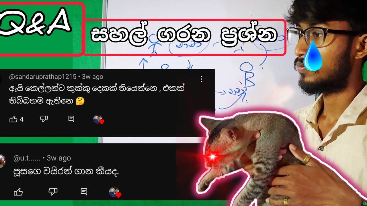 පූසගෙ වයිරන් ගාන / Q&A Crush eka / meme review - YouTube