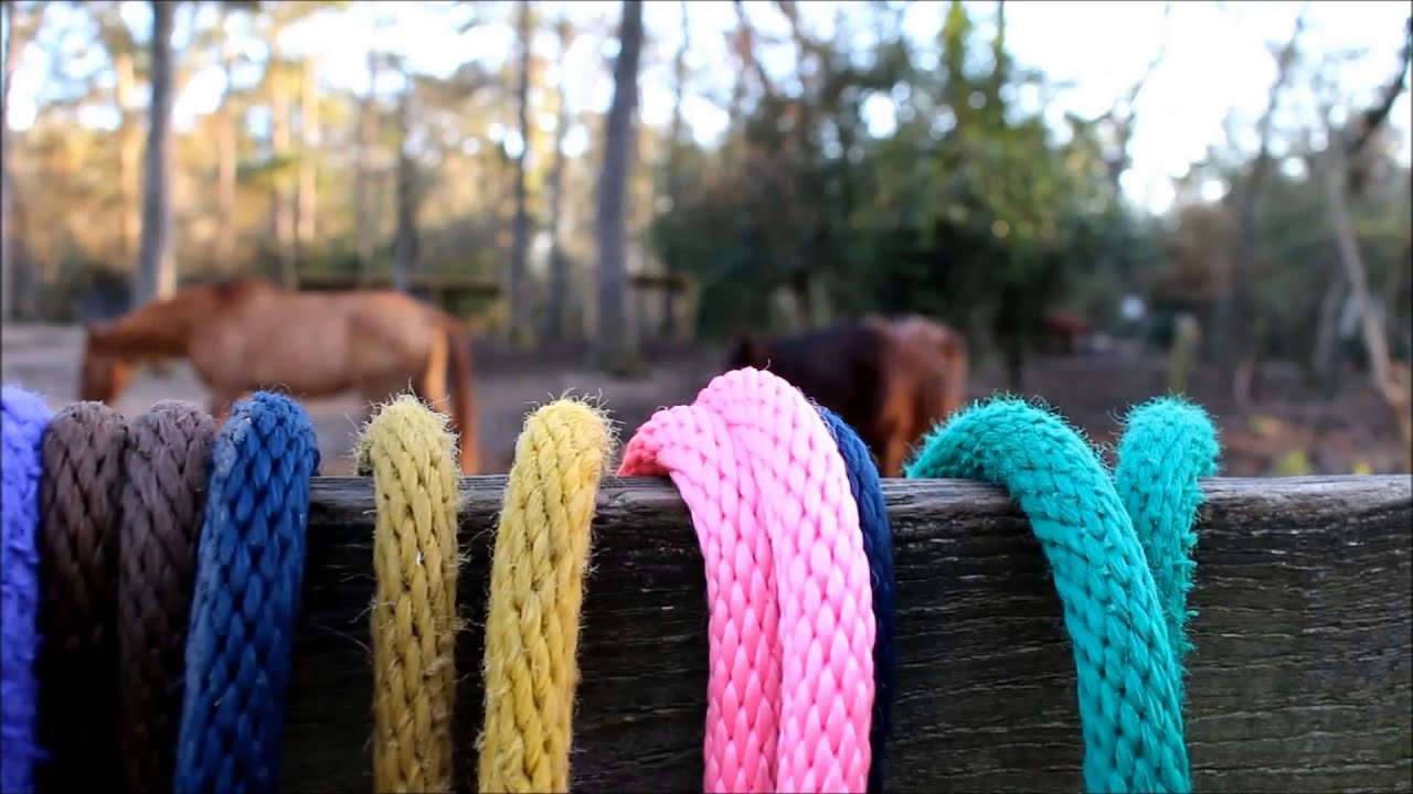 Henry's Home Horse and Human Sanctuary - YouTube