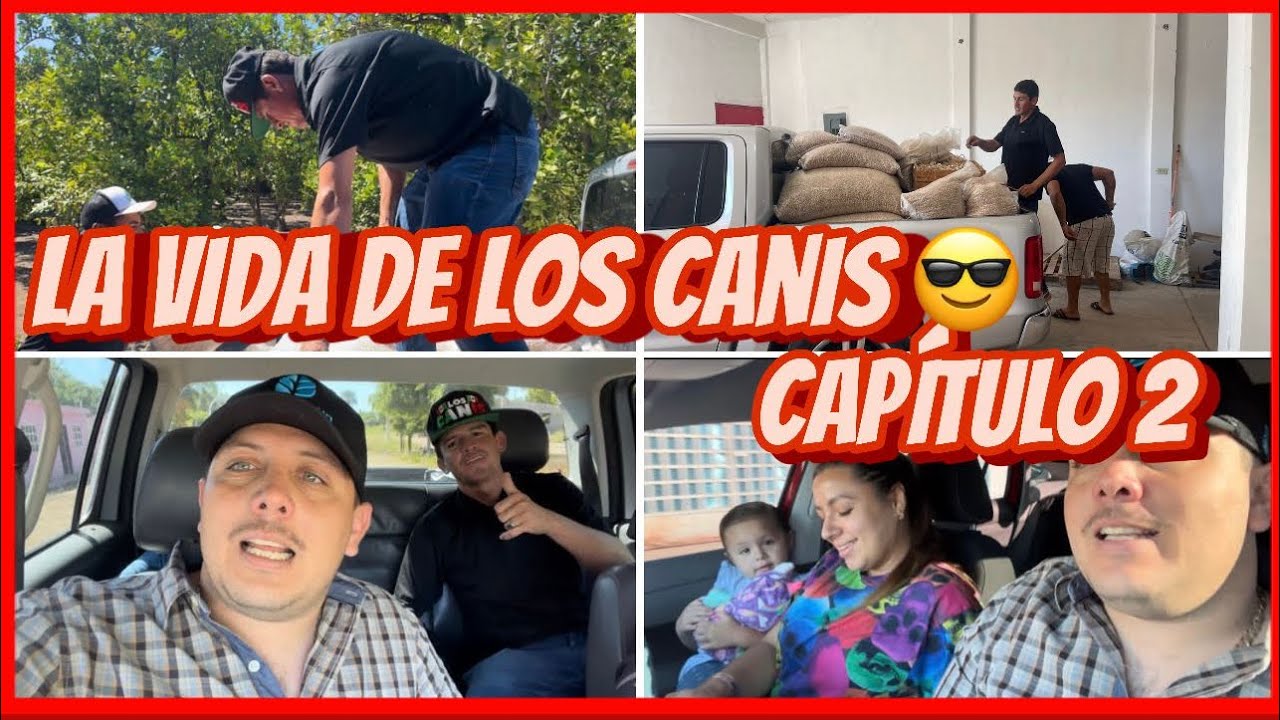 La Vida De Los (CANIS)🧑‍🌾🕺🏻 (Capitulo2) - YouTube
