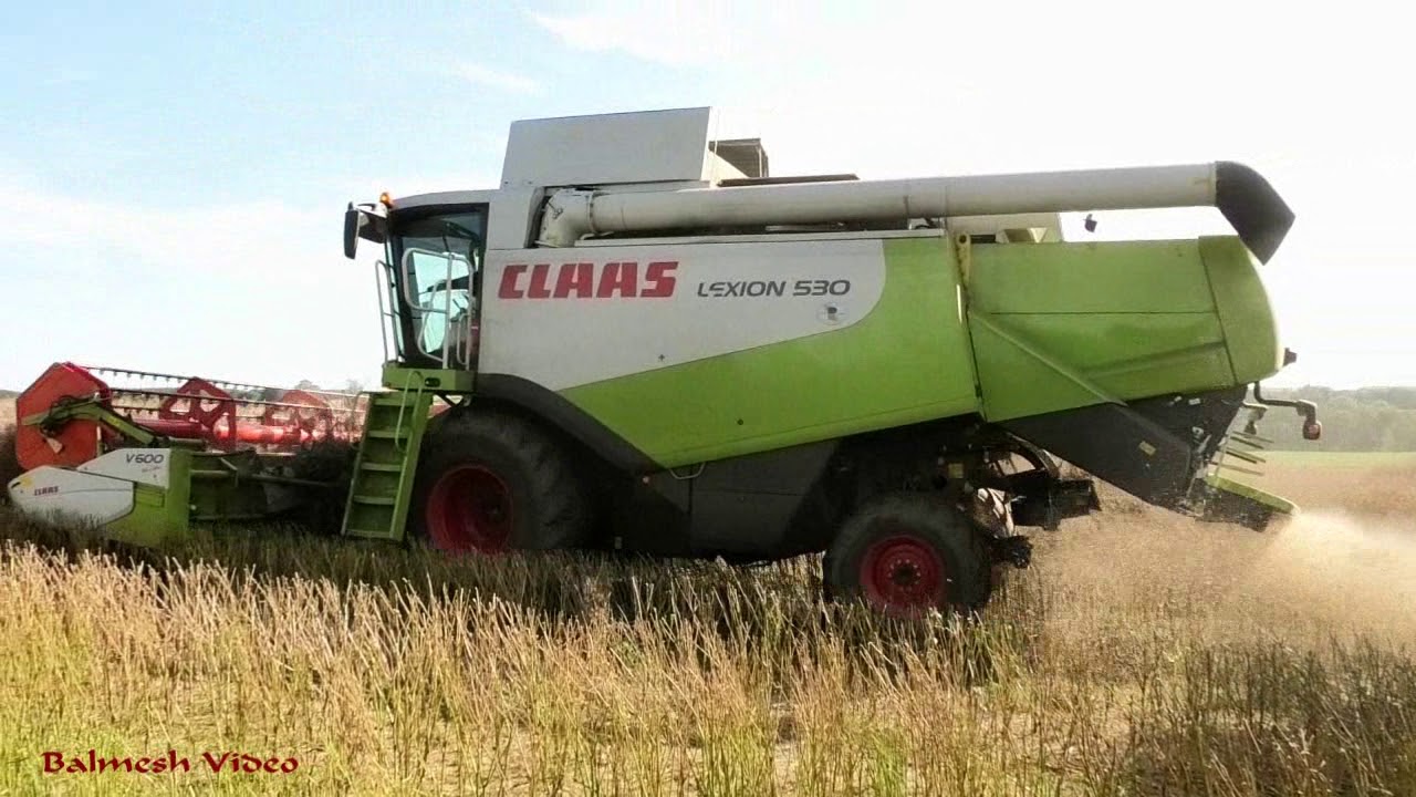 Harvesting the Oil Seed with Claas Lexion 530 - Dusty Days! - YouTube