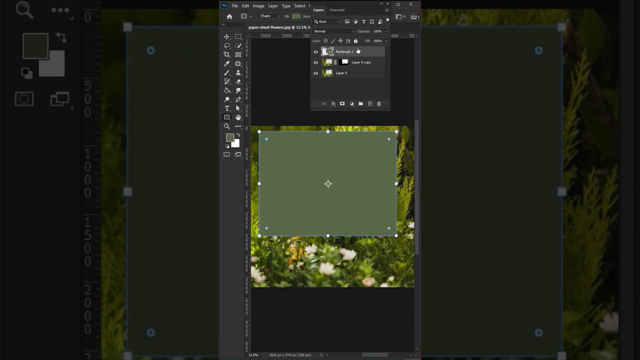 Photoshop How To Fit Image To Canvas Automatically YouTube Photoshop How To Fit Image To Canvas Automatically YouTube